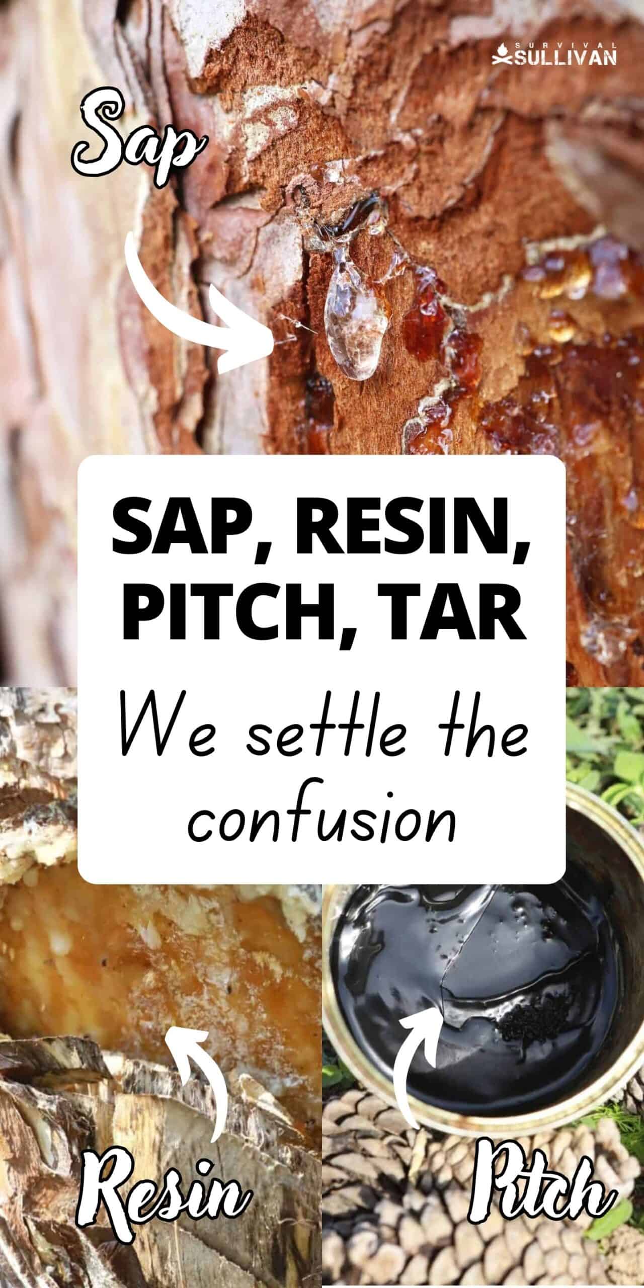 Sap, Resin, Pitch, and Tar - What Are the Differences?